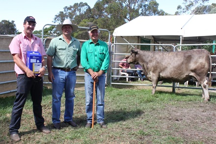 $10,000 Monterey cow and calf unit - Murray Grey