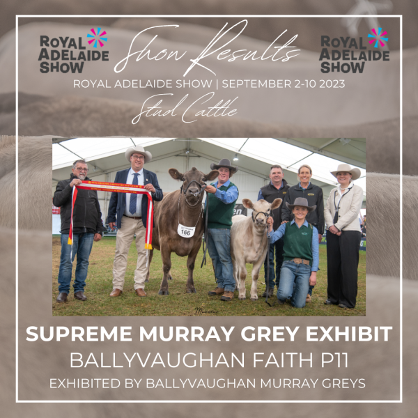 Royal Adelaide Show Results 2023 - Murray Grey